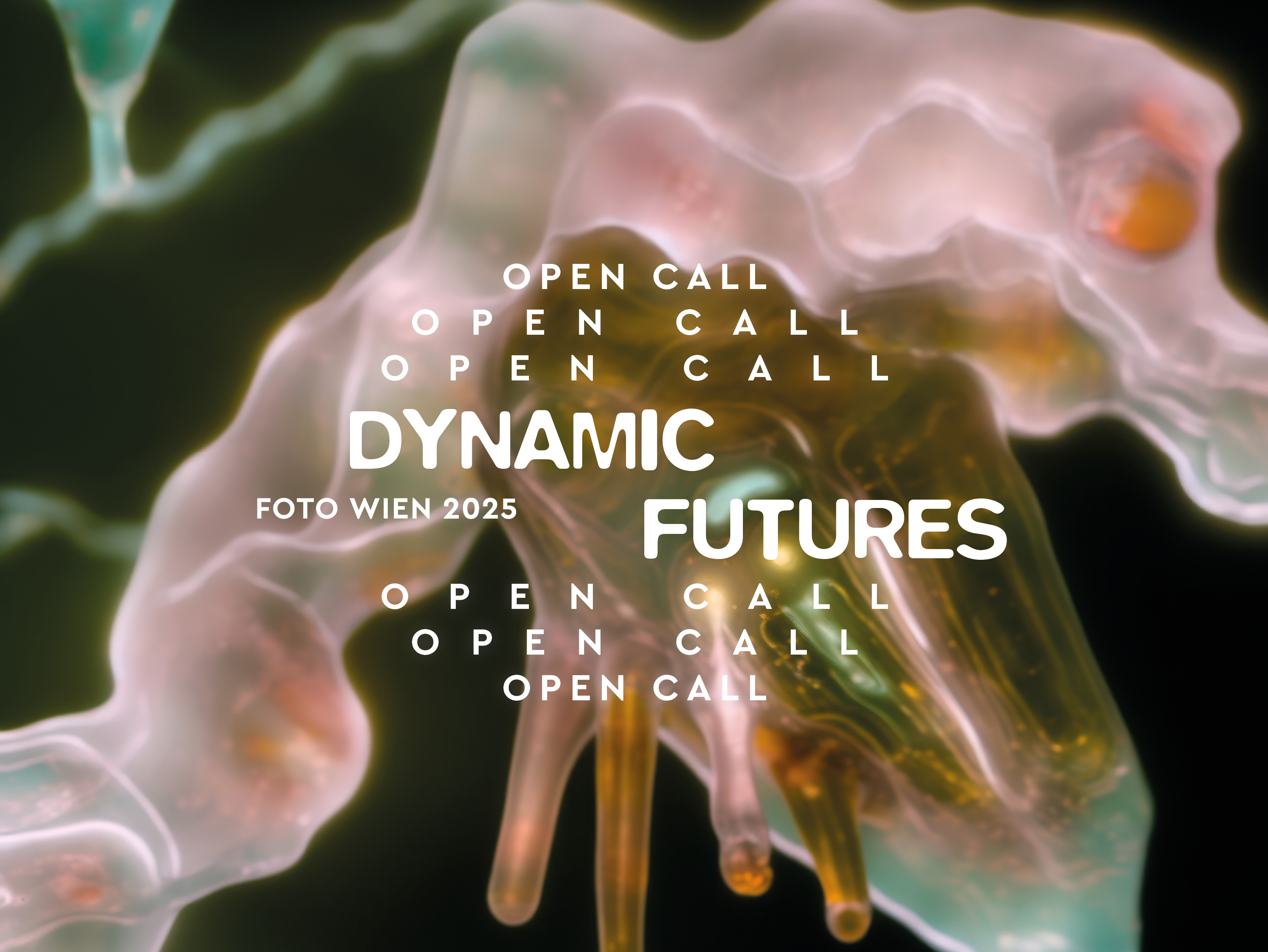 FOTO WIEN 2025 OPEN CALL - Picter